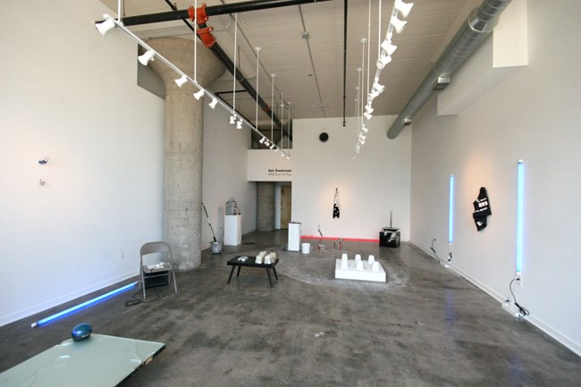 Ian Swanson BRB/Total Id Pigs - Simone DeSousa Gallery